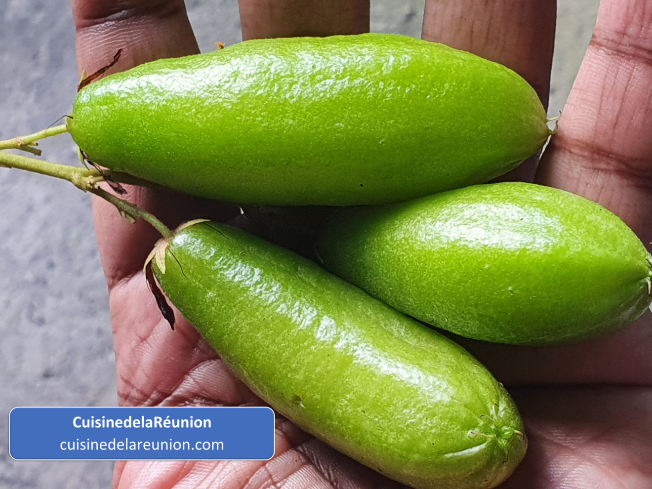 Bilimbi – CuisinedelaRéunion